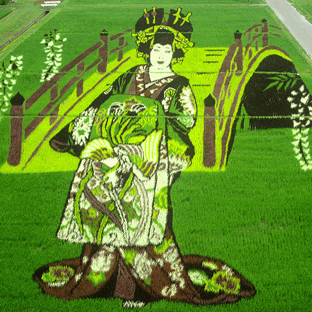 Da agricoltori ad artisti. Le opere d'arte nei campi di riso giapponesi