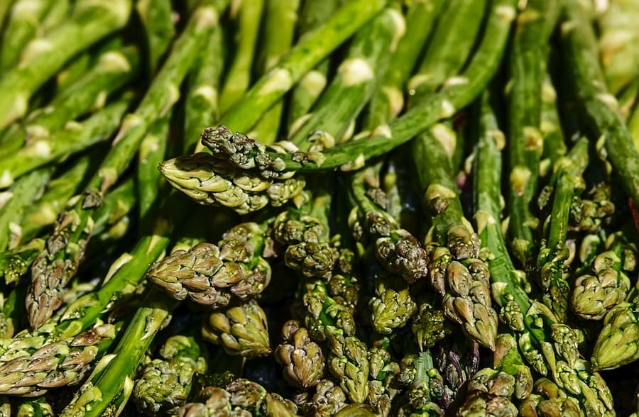 Asparagi selvatici: proprietà nutrizionali e consigli per la raccolta