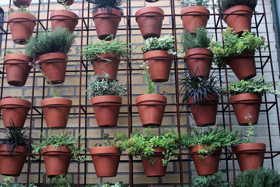 Come realizzare l'orto sul balcone