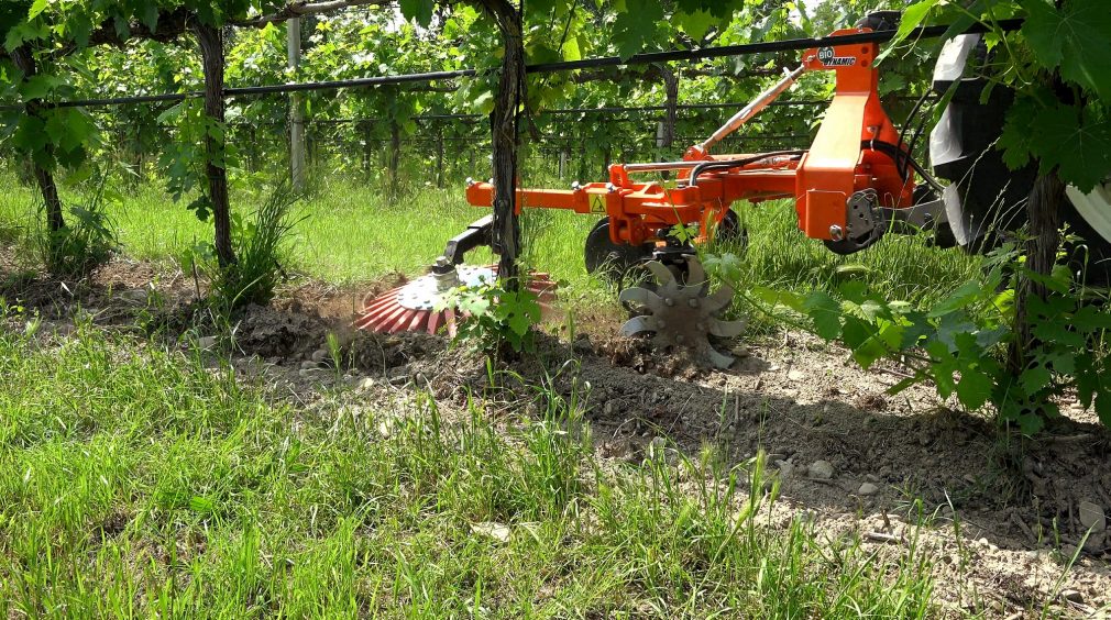 Interfilare vigneto: pulizia, lavorazione e attrezzatura meccanica